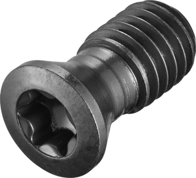 FS1030 Screws with head